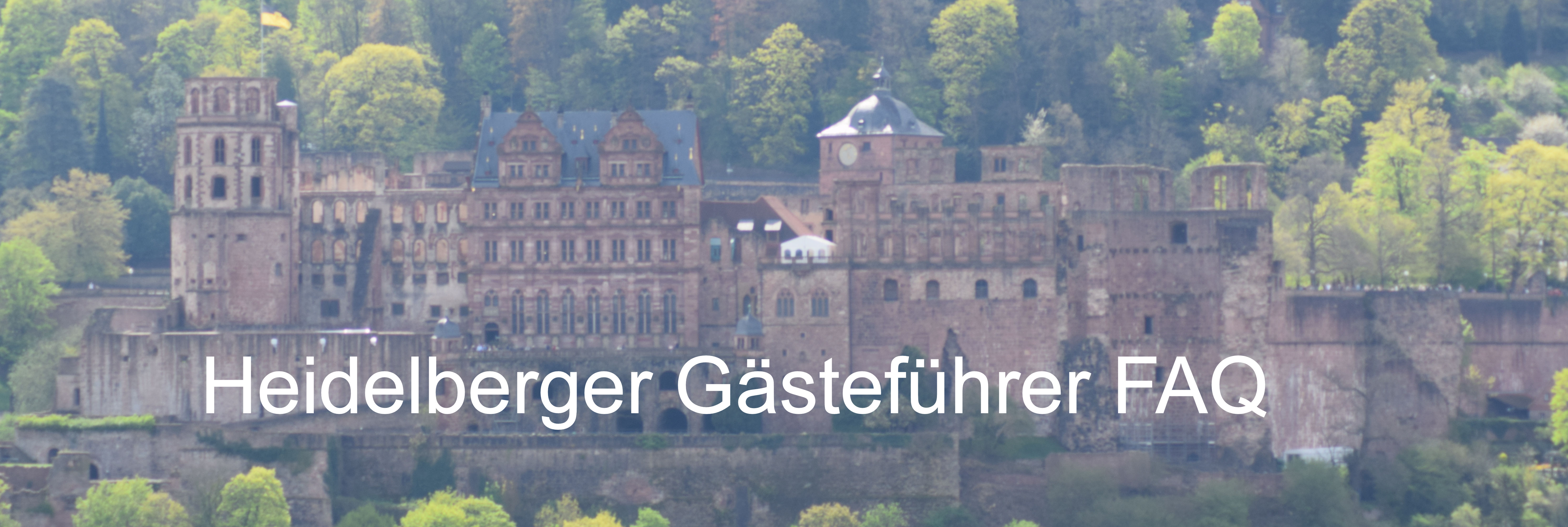 Home [heidelberger-web.de]